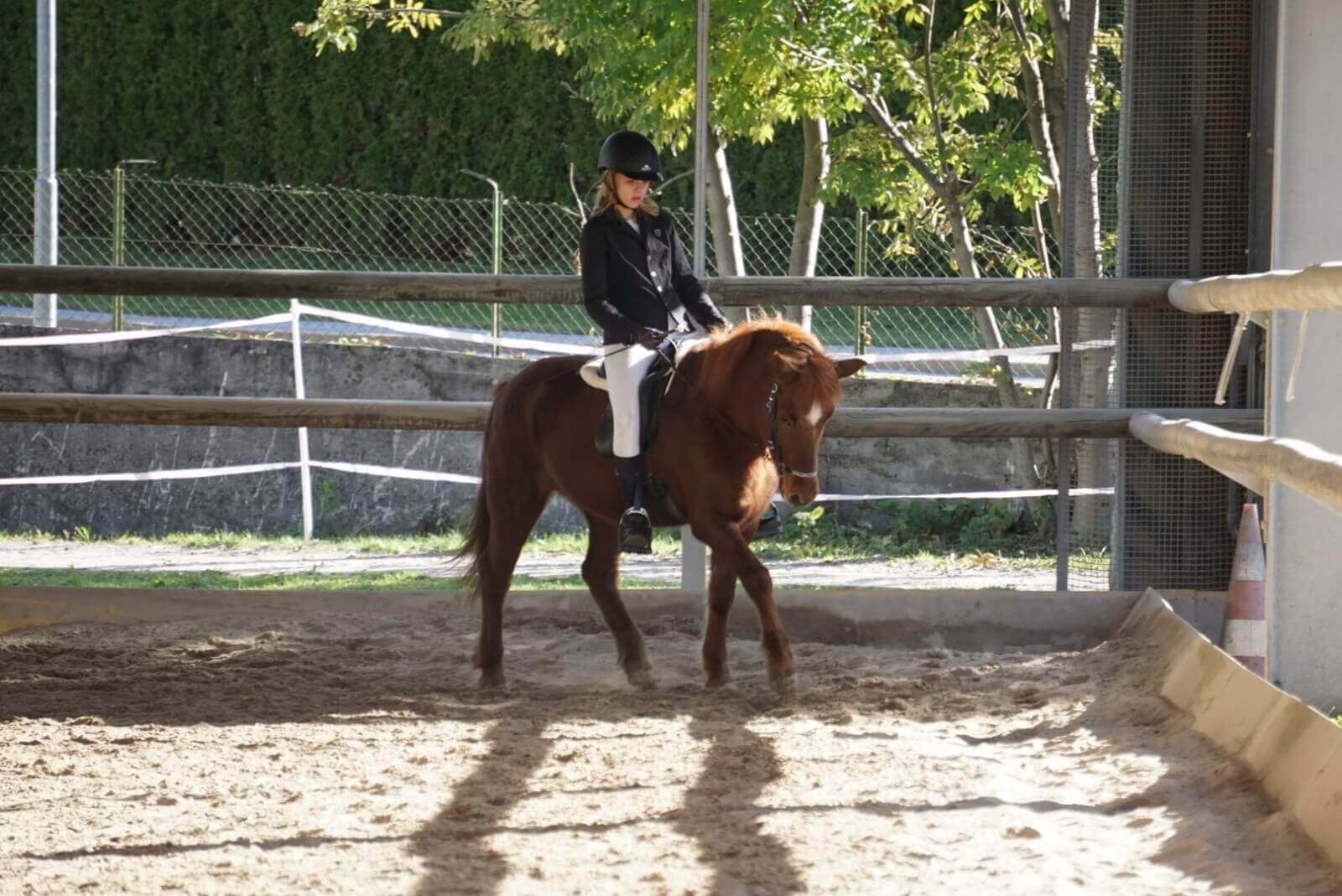 Reitschule – Reitstall "beim Lipp"